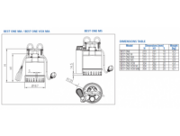 Ebara Best One MA Auto 230v - Anglian Pumping Services